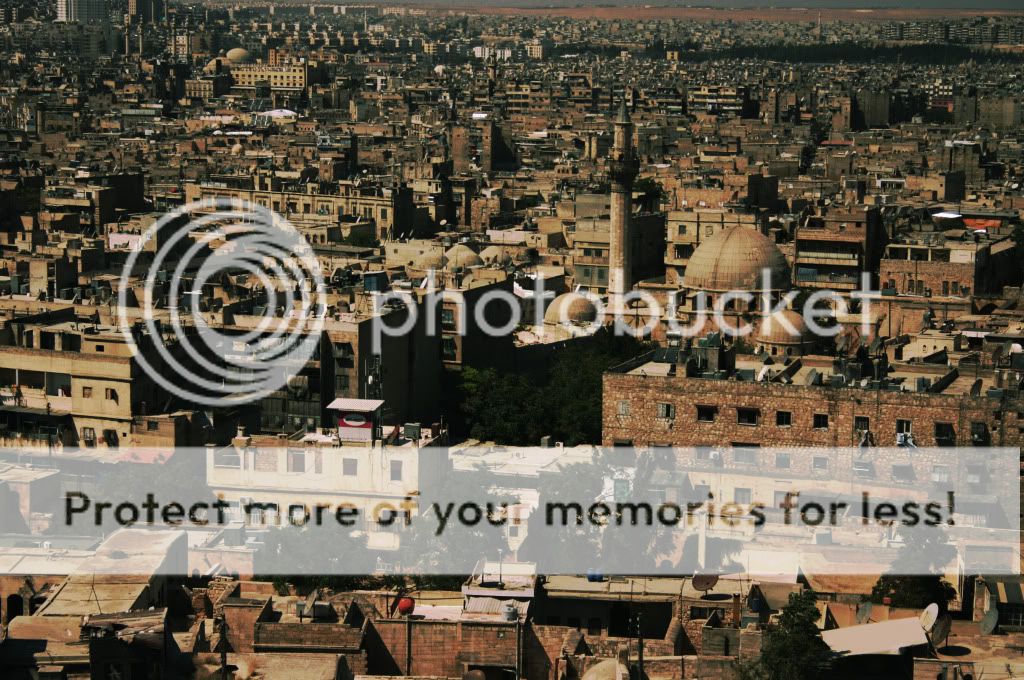 The Skyline of Aleppo